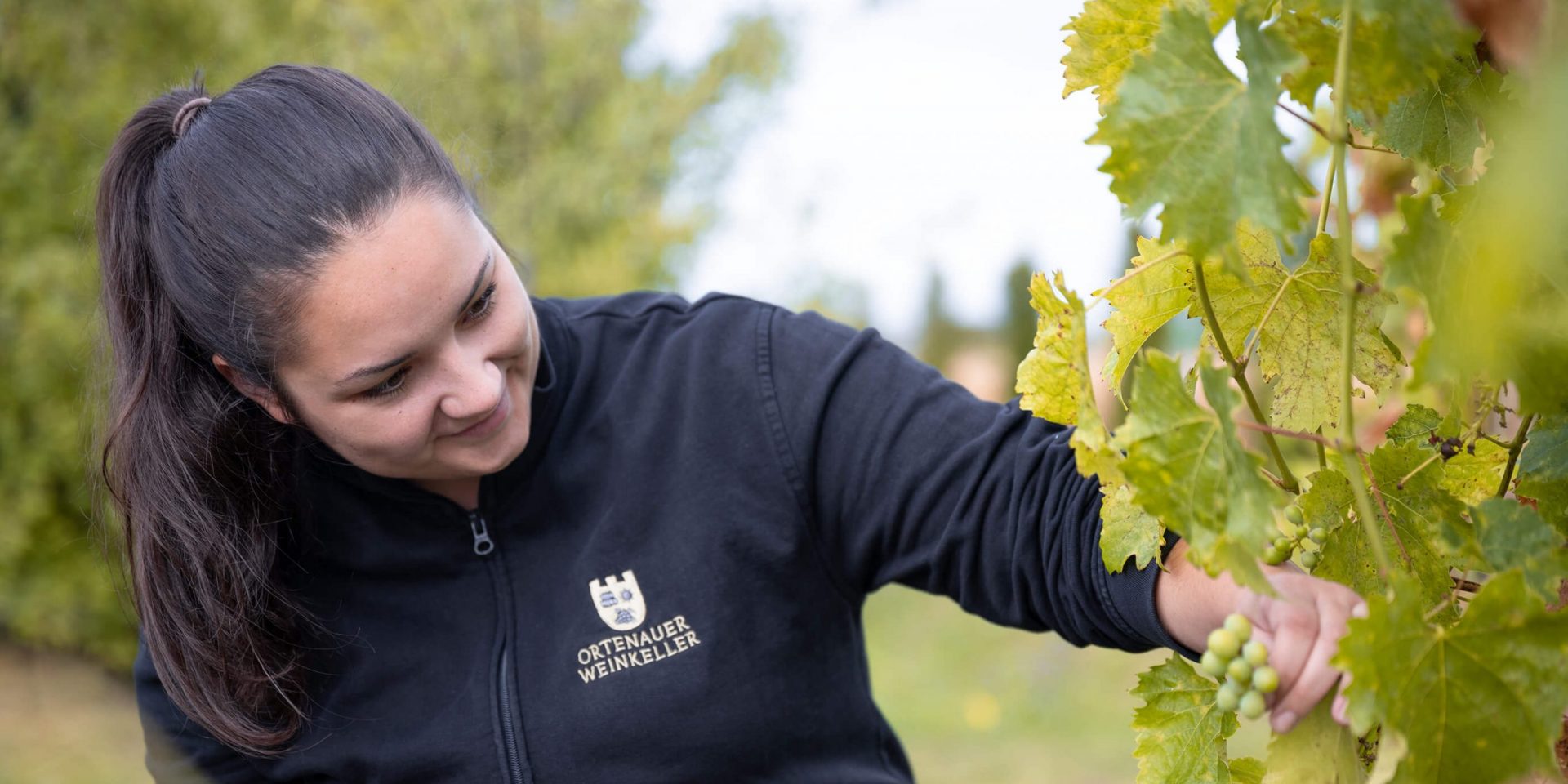 Ausbildung zum Weintechnologen (w/m/d) - EDEKA Südwest Karriere